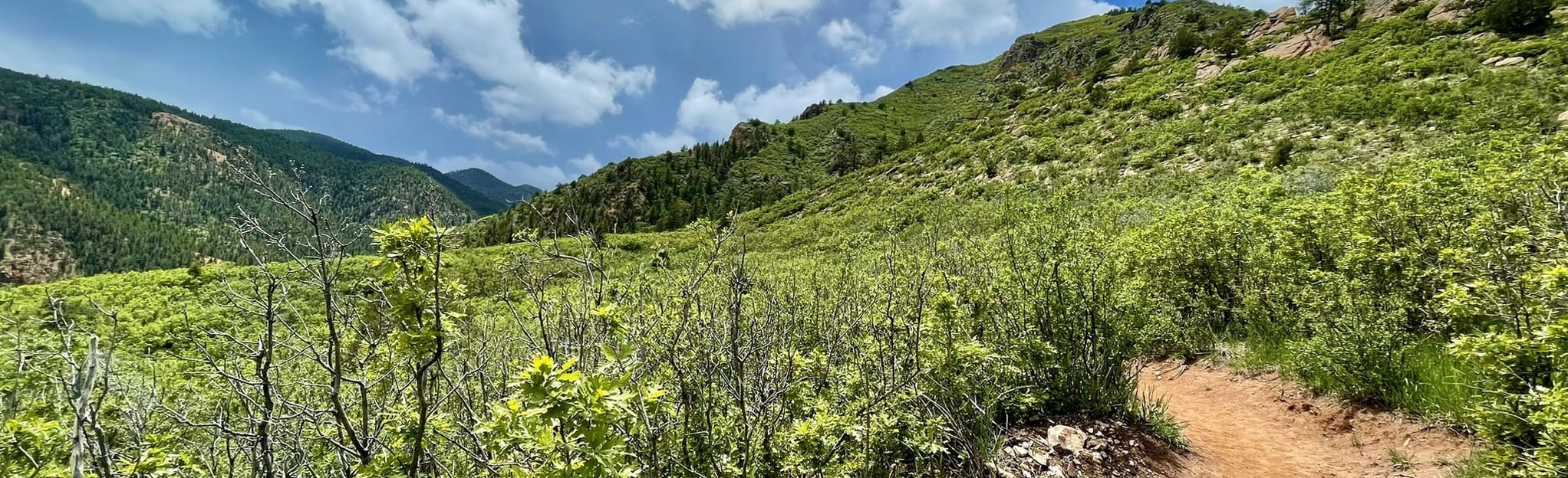 Forrest Allen Overlook, Colorado - 423 Reviews, Map | AllTrails