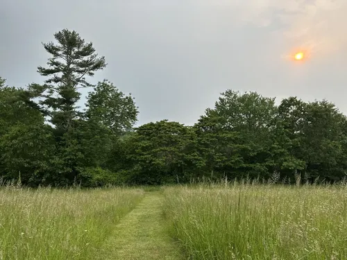 Best Hikes and Trails in Pudding Hill Reservation | AllTrails