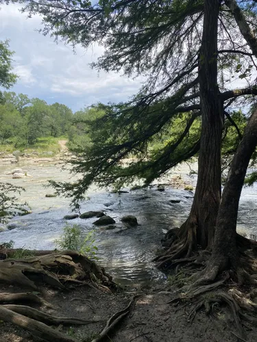 2023 Best Wild Flowers Trails in Spring Branch | AllTrails