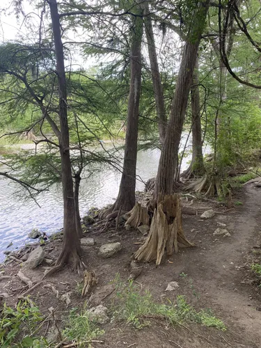 2023 Best Wild Flowers Trails in Spring Branch | AllTrails