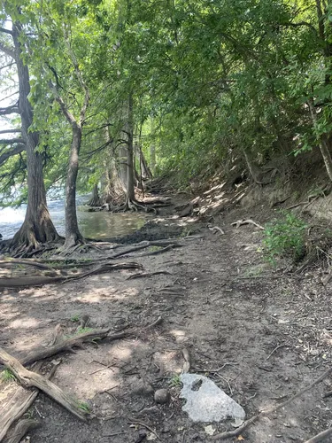 2023 Best Wild Flowers Trails in Spring Branch | AllTrails