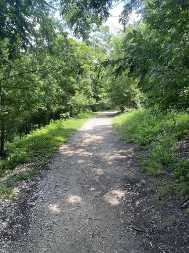 2023 Best Wild Flowers Trails in Spring Branch | AllTrails