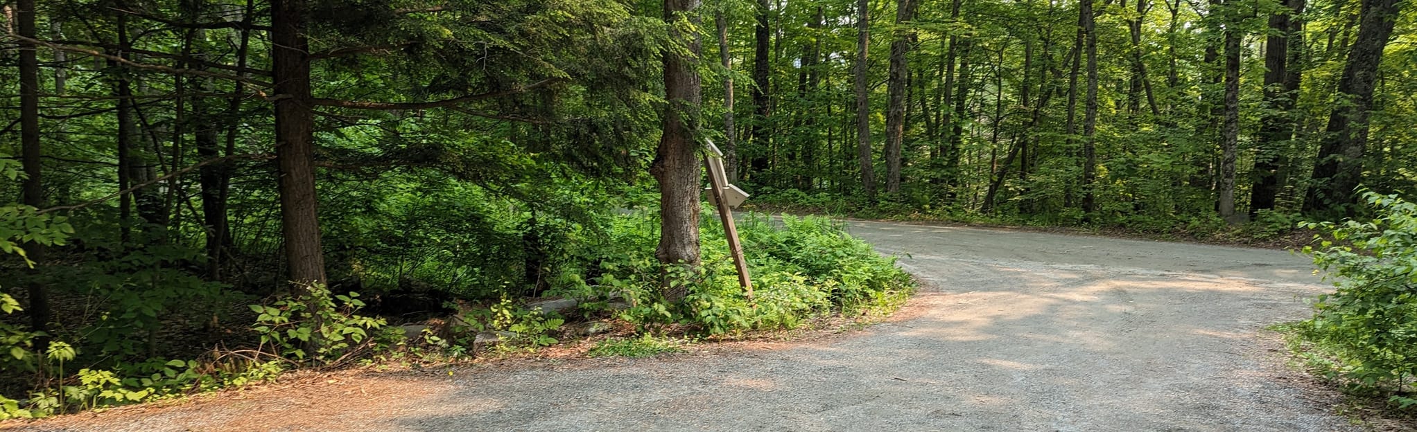 Eshqua Bog Boardwalk: 2 Reviews, Map - Vermont | AllTrails