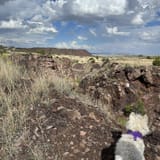 Boston Hill Trail, New Mexico - 212 Reviews, Map | AllTrails