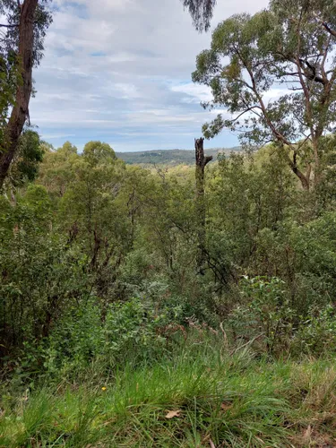 Best Hikes and Trails in Upper Beaconsfield Conservation Reserve ...