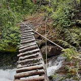 South Tongass Waterfall, Alaska - 11 Reviews, Map | AllTrails