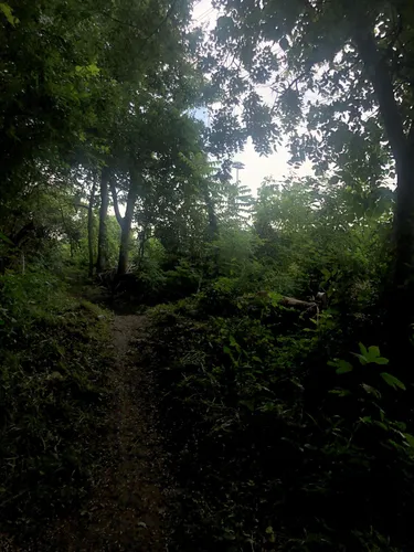 Best Hikes and Trails in Harry Moss Park | AllTrails