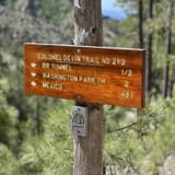 Coconino Tunnel Trail, Arizona - 77 Reviews, Map | AllTrails