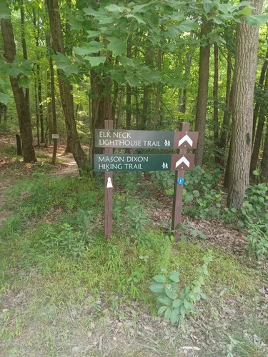 Best Hikes and Trails in Elk Neck State Forest | AllTrails