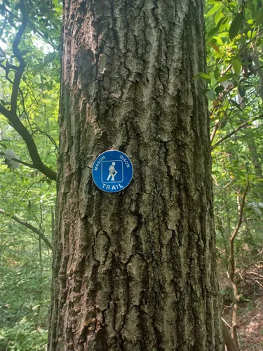 Best Hikes and Trails in Elk Neck State Forest | AllTrails