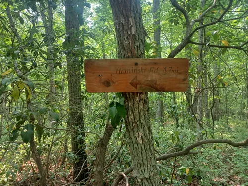 Best Hikes and Trails in Elk Neck State Forest | AllTrails