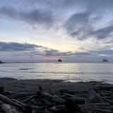 Sand Point Trail, Washington - 320 Reviews, Map | AllTrails