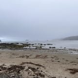 Sand Point Trail, Washington - 320 Reviews, Map | AllTrails