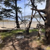 Sand Point Trail, Washington - 320 Reviews, Map | AllTrails