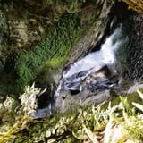 Racehorse Falls Trail, Washington - 397 Reviews, Map | AllTrails