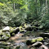 Cosby Nature Trail, Tennessee - 492 Reviews, Map | AllTrails