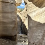 Bull Valley Gorge Trail, Utah - 195 Reviews, Map | AllTrails
