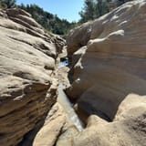 Bull Valley Gorge Trail, Utah - 195 Reviews, Map | AllTrails