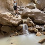 Bull Valley Gorge Trail, Utah - 199 Reviews, Map | AllTrails