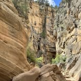 Bull Valley Gorge Trail, Utah - 206 Reviews, Map | AllTrails