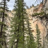 Bull Valley Gorge Trail, Utah - 206 Reviews, Map | AllTrails