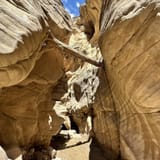 Bull Valley Gorge Trail, Utah - 199 Reviews, Map | AllTrails