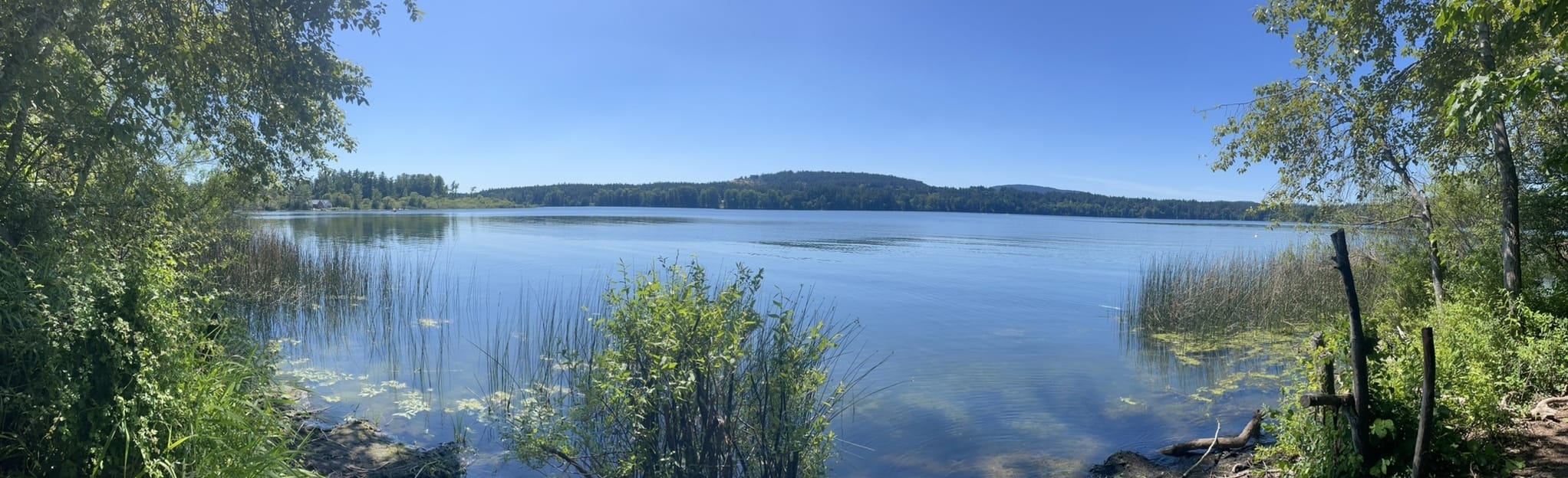Elk and Beaver Lake Loop: 768 fotos - Britisk Columbia, Canada | AllTrails
