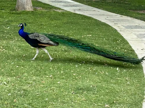 Best Hikes and Trails in Floyd Lamb Park | AllTrails