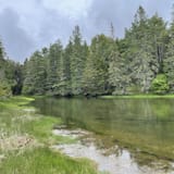 Little Harbor Brook Trail, Maine - 185 Reviews, Map | AllTrails