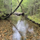 Little Harbor Brook Trail, Maine - 185 Reviews, Map | AllTrails