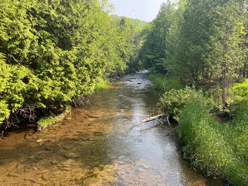 Best Hikes and Trails in Noisy River Provincial Park | AllTrails