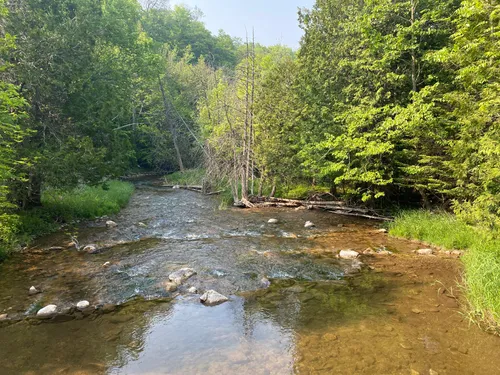 Best Hikes and Trails in Noisy River Provincial Park | AllTrails