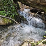 Lake Stuart Trail, Washington - 622 Reviews, Map | AllTrails