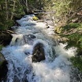 Lake Stuart Trail, Washington - 624 Reviews, Map | AllTrails