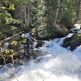 Lake Stuart Trail, Washington - 624 Reviews, Map | AllTrails