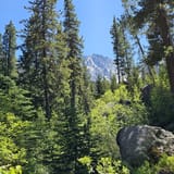 Lake Stuart Trail, Washington - 624 Reviews, Map | AllTrails