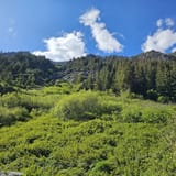 Lake Stuart Trail, Washington - 633 Reviews, Map | AllTrails