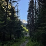 Loop Brook Trail, British Columbia, Canada - 142 Reviews, Map | AllTrails