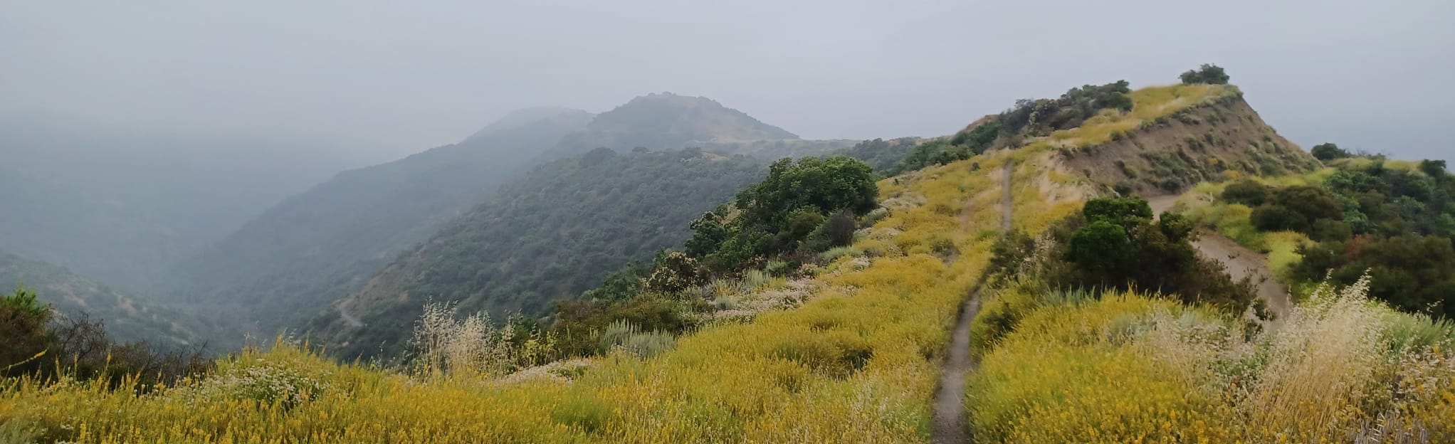 Sullivan Canyon Trail [CLOSED], California - 679 Reviews, Map | AllTrails