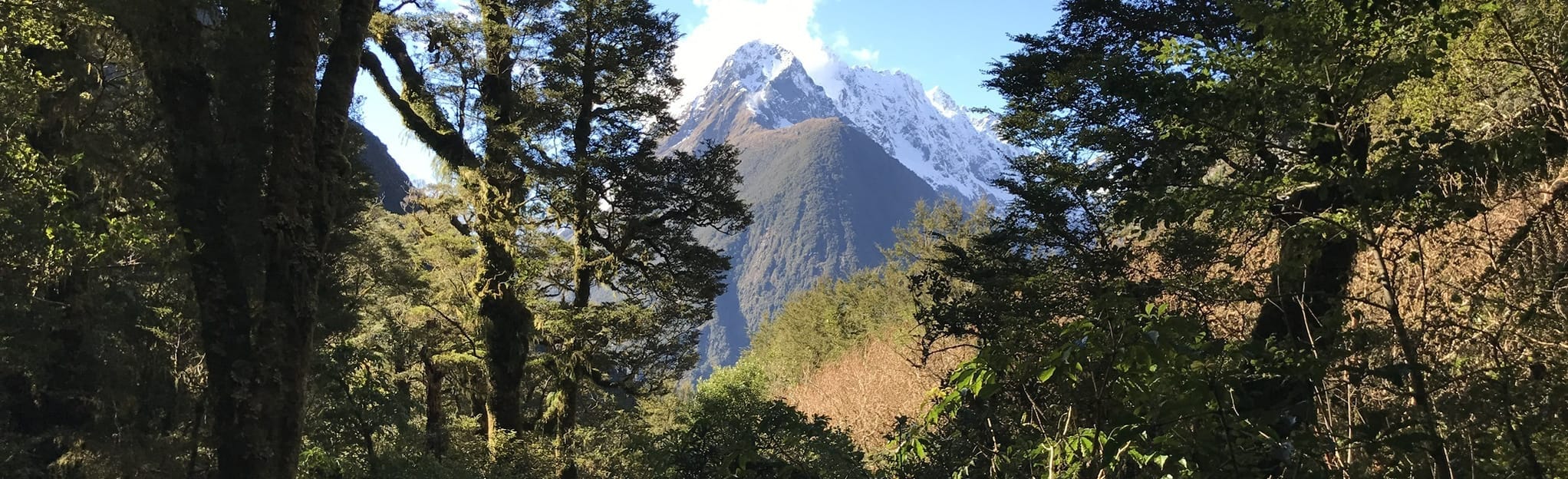 The Chasm Walk: 20 Fotos - Southland, Neuseeland | AllTrails