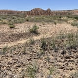 Juniper Draw Loop Trail, Nevada - 336 Reviews, Map | AllTrails