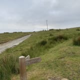 Tebay Fell Circular, Cumbria, England - 5 Reviews, Map | AllTrails