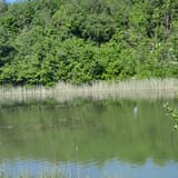 Teversal, Silverhill Wood, and Pleasley Pit, Nottinghamshire, England ...