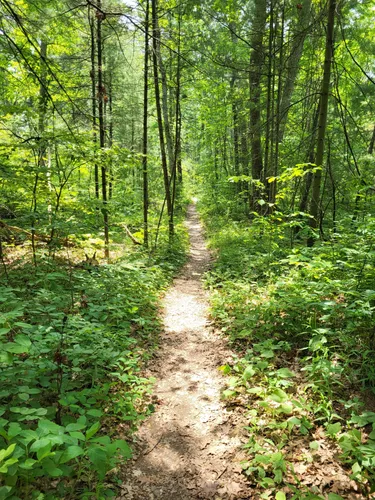 Best Lake Trails in The Pinery Provincial Park | AllTrails