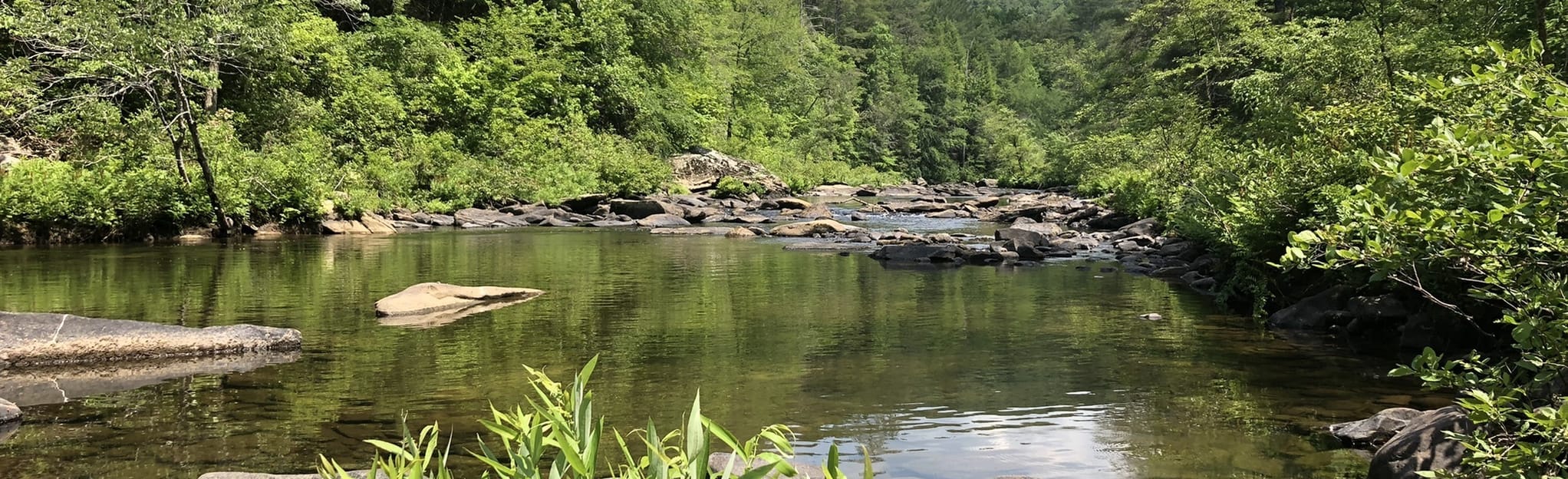 Cumberland Trail: Devil's Breakfast Table: 112 Reviews, Map - Tennessee ...