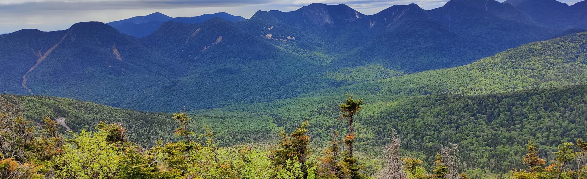 Big Slide Mountain via Phelps Trail: 61 Reviews, Map - New York | AllTrails