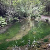 Belknap Hot Springs Resort, Oregon - 59 Reviews, Map | AllTrails