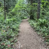 Belknap Hot Springs Resort, Oregon - 59 Reviews, Map | AllTrails