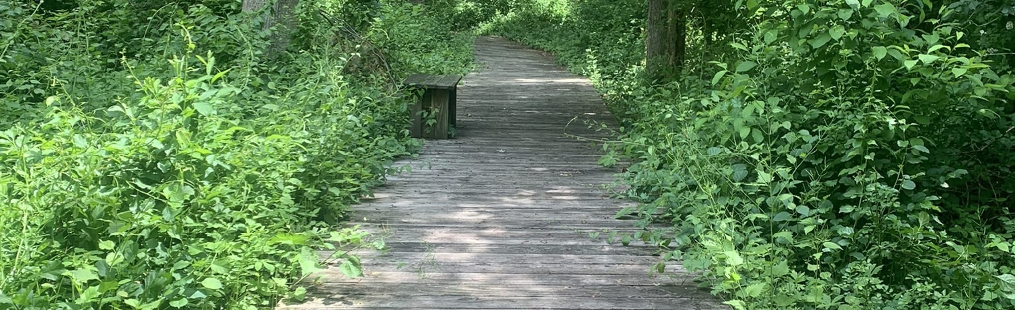 Ghiloni Park Loop, Massachusetts - 87 Reviews, Map | AllTrails