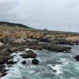 Salt Point Trail to Stump Beach, California - 601 Reviews, Map | AllTrails